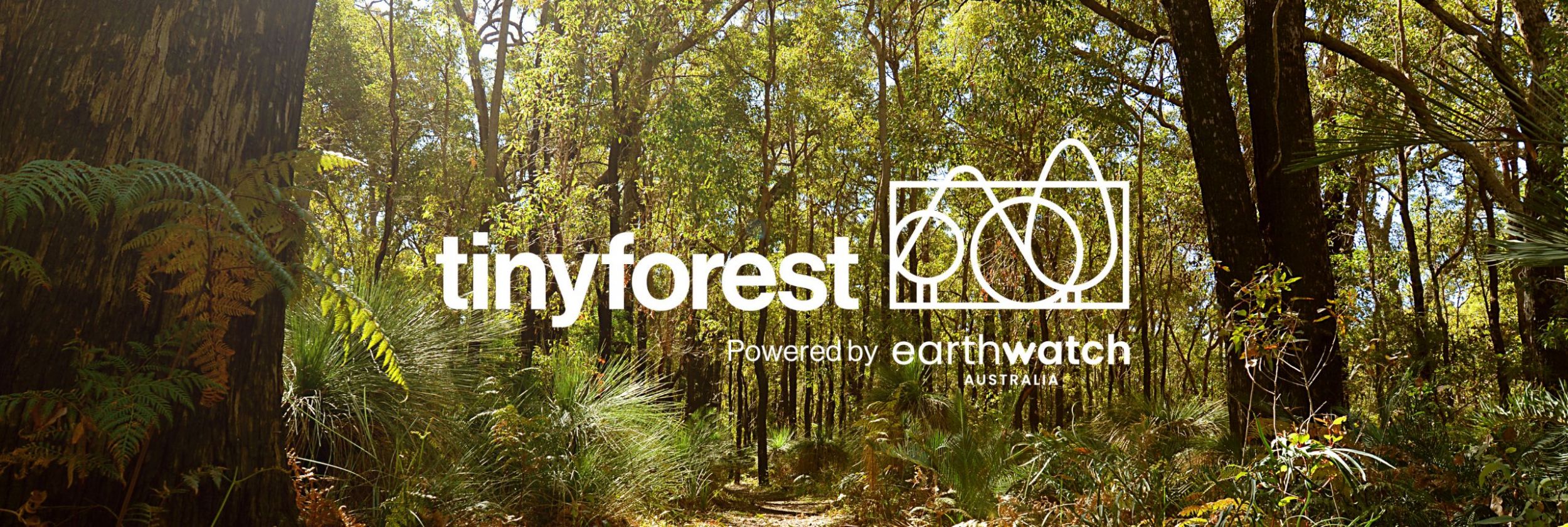 Tiny Forests | Earthwatch Australia